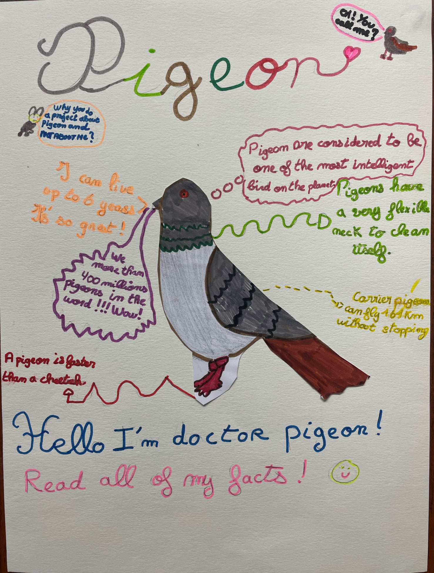 Don’t Let the Pigeon Drive the Bus! – Picturebooks in European Primary ...